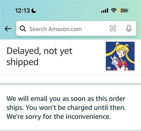 Is Anyone Elses Pretty Guardian Sailor Moon The 30th Anniversary Memorial Album Vinyl Preorder