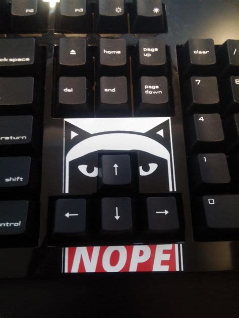 Vim Every Time Rvim