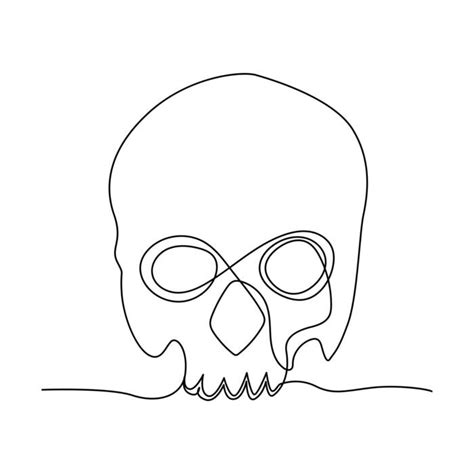 Skull Line Drawing Vector Art Icons And Graphics For Free Download