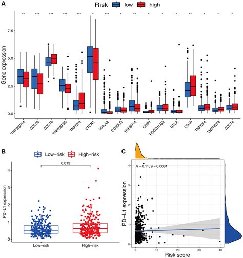 Identification And Validation Of Oxeiptosis Associated Lncrnas And Prognosis Related Signature