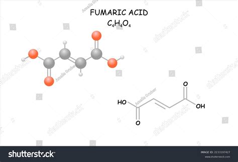 Stylized Molecule Model Stylized Formula Fumaric Stock Illustration