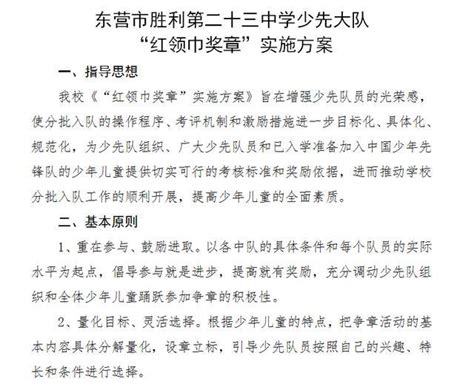 东营区少先队分批入队试点工作阳光动态及四月份工作推送 搜狐大视野 搜狐新闻