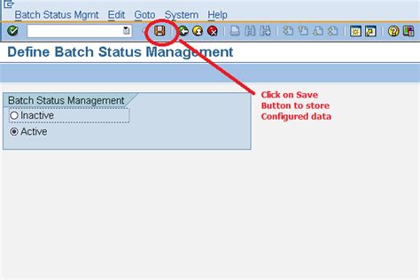 SAP Batch Management How To Activate Batch Status Management