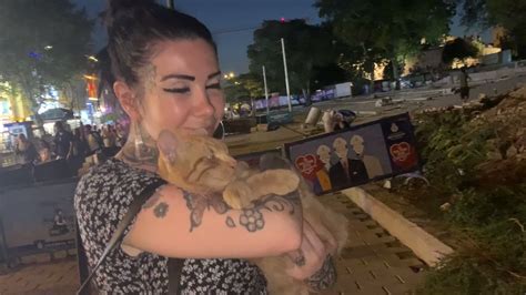 Megan Inky On Twitter Cats Https T Co Ilkdzsuyn Twitter