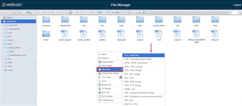 How To Create And Edit Files Via Webuzo File Manager