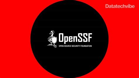 Openssf Releases Fuzz Introspector