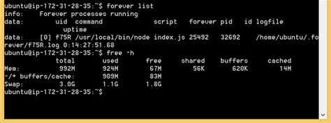 javascript node js app crashing itself even after using forever js