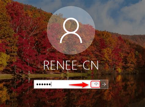 Cannot Login To Windows 10 How To Fix Renee Laboratory