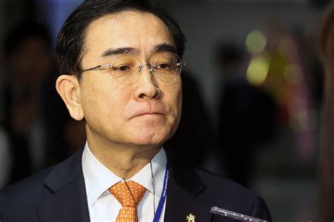 태영호 최고위원직 자진 사퇴당과 尹정부에 큰 누 끼쳤다 파이낸셜뉴스