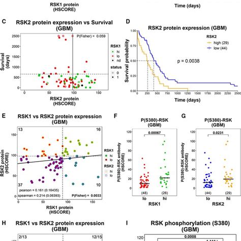 Expression Of Rsk Isoforms In Gbms And Their Relationship With Survival