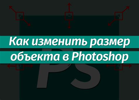 Как изменить размер выделенного объекта в Фотошопе