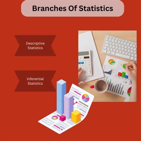 Statistics Dissertation Help The Assignment Helpline