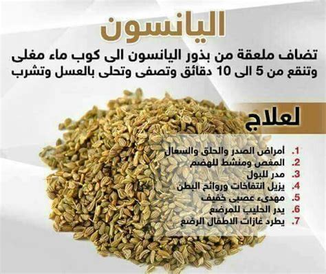 الينسون Ricette Salutari Nutrizione Prodotti Per La Salute