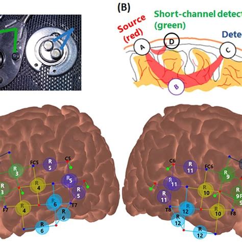 Diagram Of Fnirs Signal Processing And Systemic Response Reduction Sci