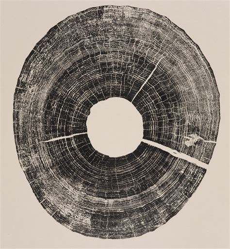Woodcut Prints Showcase The Beauty Of Tree Rings DeepRoot Blog