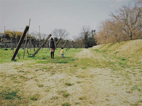 Madre E Hijo Caminando Por El Parque Foto Premium