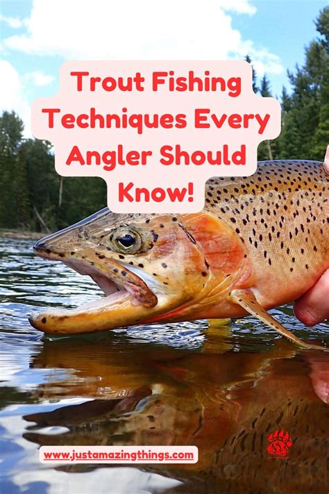 Trout Fishing Techniques Every Angler Should Know In 2025 Fly