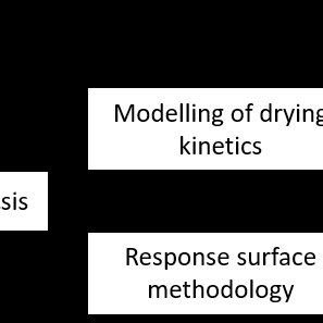 The Logic Diagram Of This Study Download Scientific Diagram