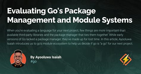 Evaluating Gos Package Management And Module Systems Honeybadger Developer Blog
