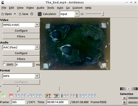 How To Use Avidemux To Edit Videos