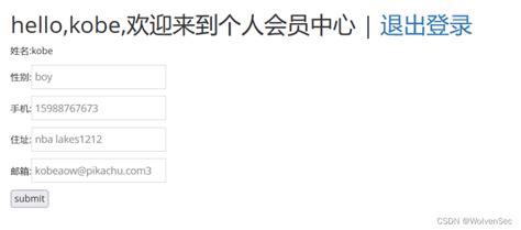 Web渗透 Csrf跨站请求伪造 Csdn博客