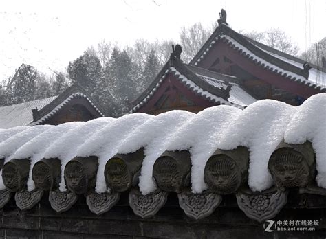 瑞雪迎春 中关村在线摄影论坛