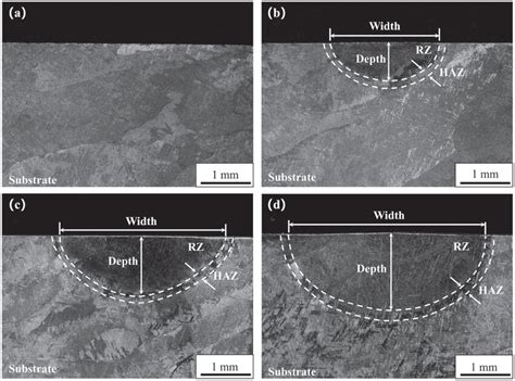 A Macrograph Of Ebf³ Fabricated Substrate Bd Macrograph Of The Download Scientific