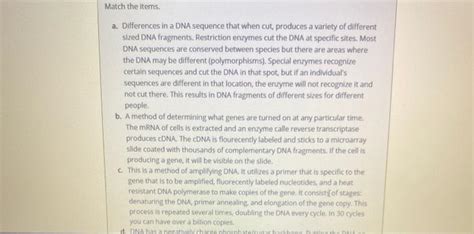 Solved Match The Items A Differences In A DNA Sequence Chegg