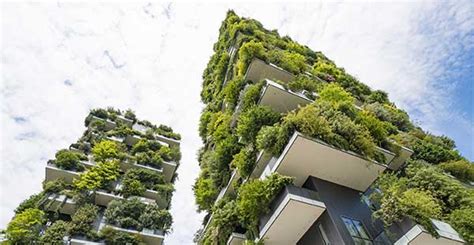 sustainable building guide to energy efficient homes