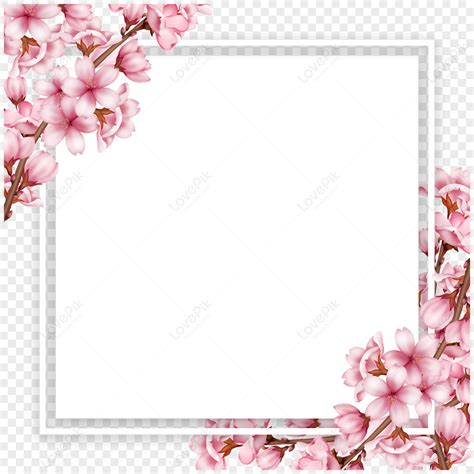 Spring Square Pink Cherry Blossom Border Flowers Cherry Blossoms Png
