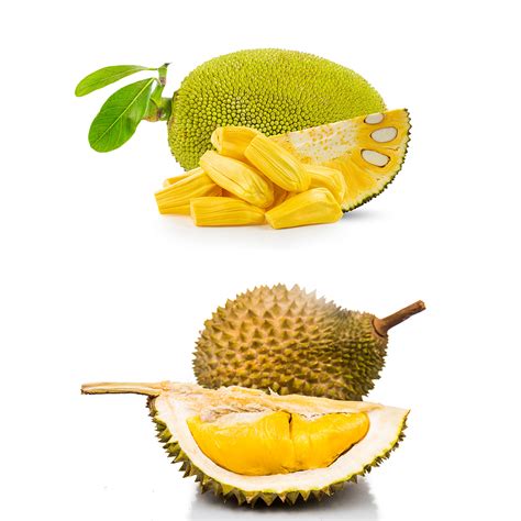 Jackfruit Vs Durian 6 Crucial Facts