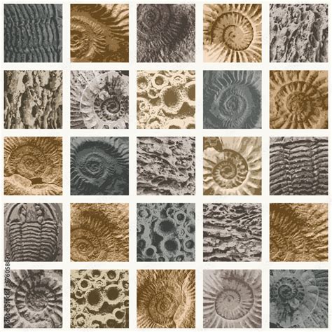 Vector Abstact Seamless Pattern Background With Sea Stone Texture With