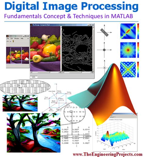 matlab image processing the engineering projects
