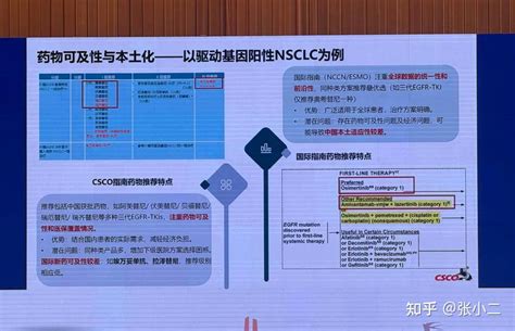 Csco指南大会 非小细胞肺癌指南更新要点及国内外指南异同点解析 知乎
