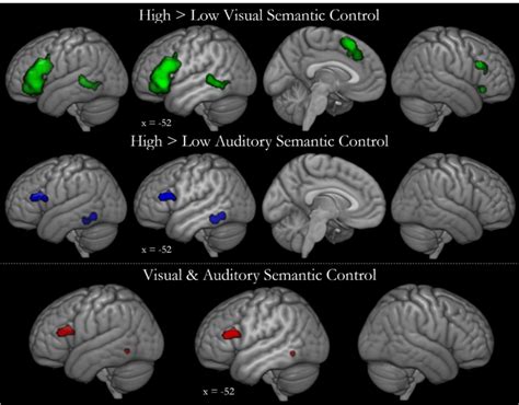The Multimodal Semantic Control Network Top The Activation Likelihood Download Scientific