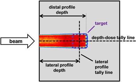 MCNPX Simulation Geometry And Tally Locations For Distal And Lateral Download Scientific