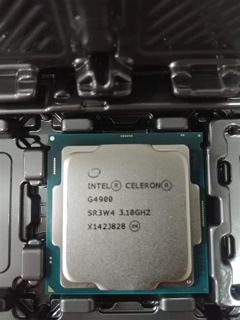 Intel G4900 Processor 3.10GHz 2MB – Processors (3.10 3100, 14nm, 2MB ...