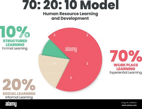 Pie Chart Vector Diagram Is Hr Learning And Development Illustrated 70 20 10 Model 3d