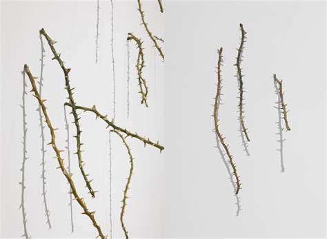 ‘beghost At Nika Project Space • Selections Arts Magazine