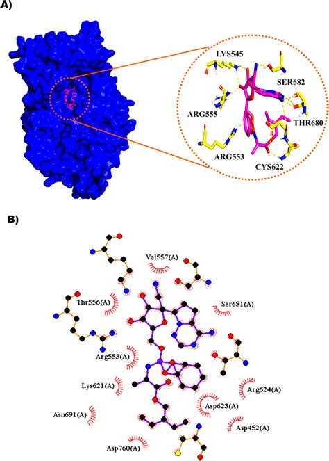 Representations Of Protein Ligand Complexes From Molecular Docking A Download Scientific