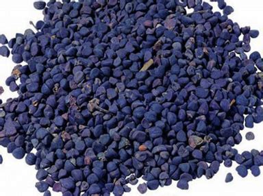 牵牛子用量 牵牛子 黑牵牛子 大山谷图库