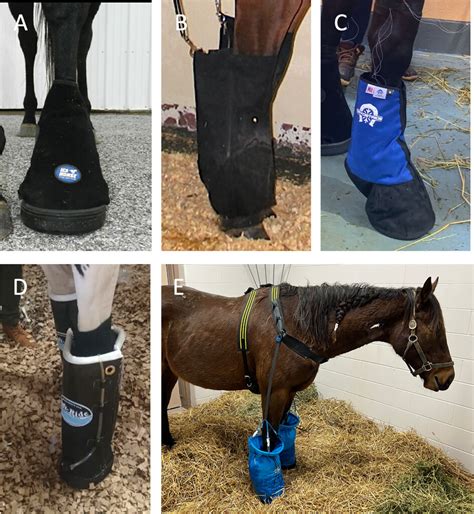 Distal Limb Immersion In Ice And Water Is The Most Effective Means Of