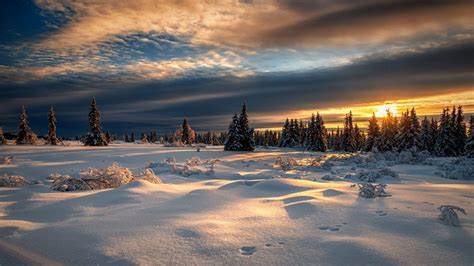 Norway Winter Wallpapers Top Free Norway Winter Backgrounds Wallpaperaccess
