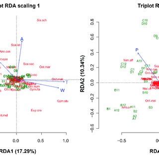 RDA Triplot Scaling 1 2 The Relationship Between Environmental