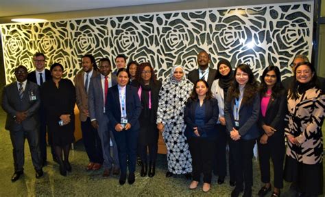 Ldcs And Sids Delegates Share Good Practices And Challenges In