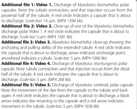 Abbreviations SEM Scanning Electron Microscopy Download Scientific Diagram