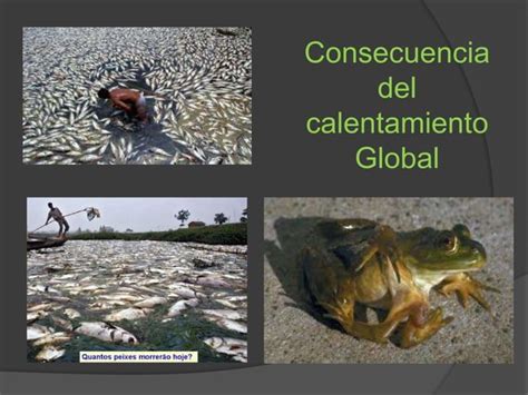 La Contaminacion En El Salvador Ppt