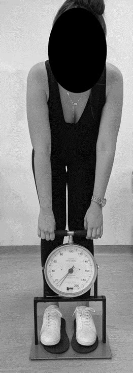 Assessment Of The Isometric Strength Of The Trunk Extensors Download Scientific Diagram