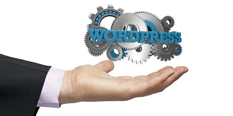5 common wordpress errors and how to fix them magna technology