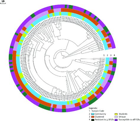 Visualization Of Ptb Cases Using A Radial Upgma Tree Based On 24 Loci